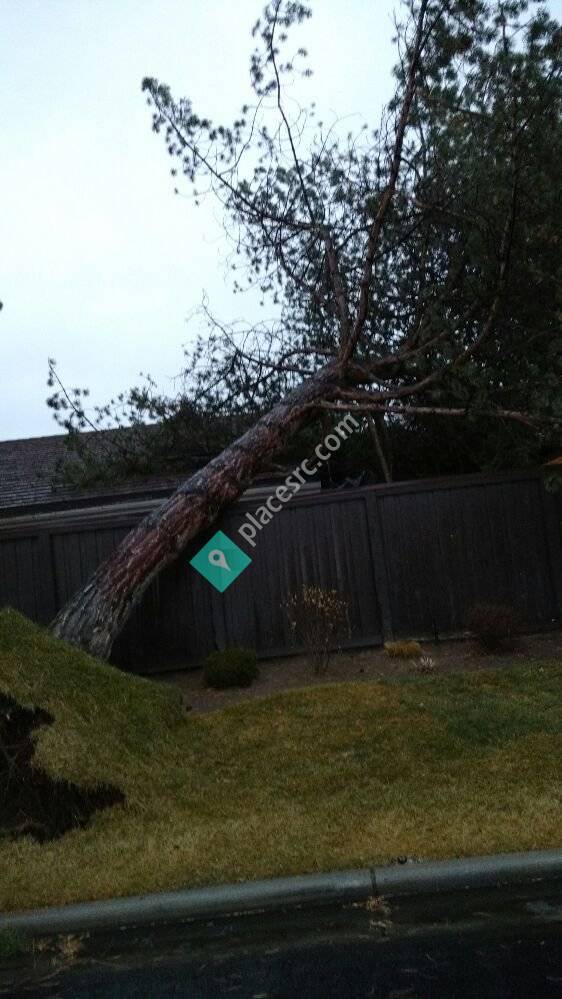 All Around Tree Care - West Valley City