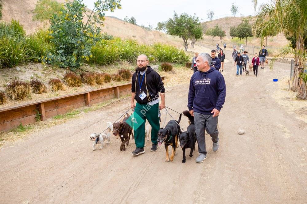 Dog World Order - La Verne