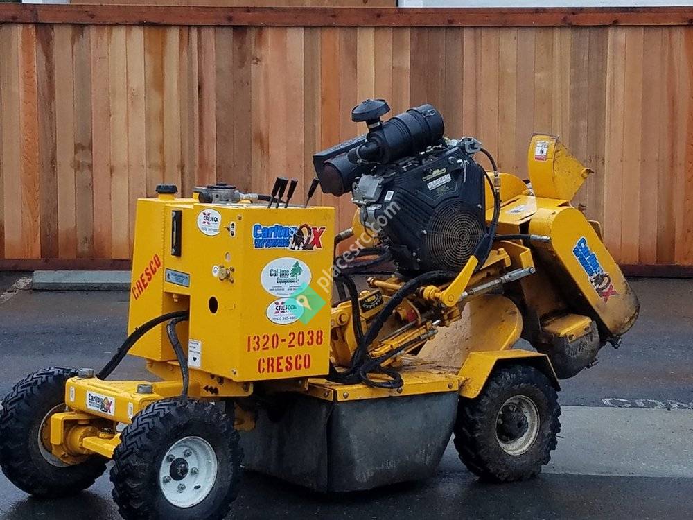 Firefighter Tree Service - Redwood City