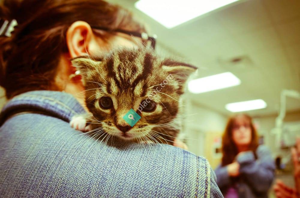 Juniper Valley Animal Hospital, PC - Middle Village