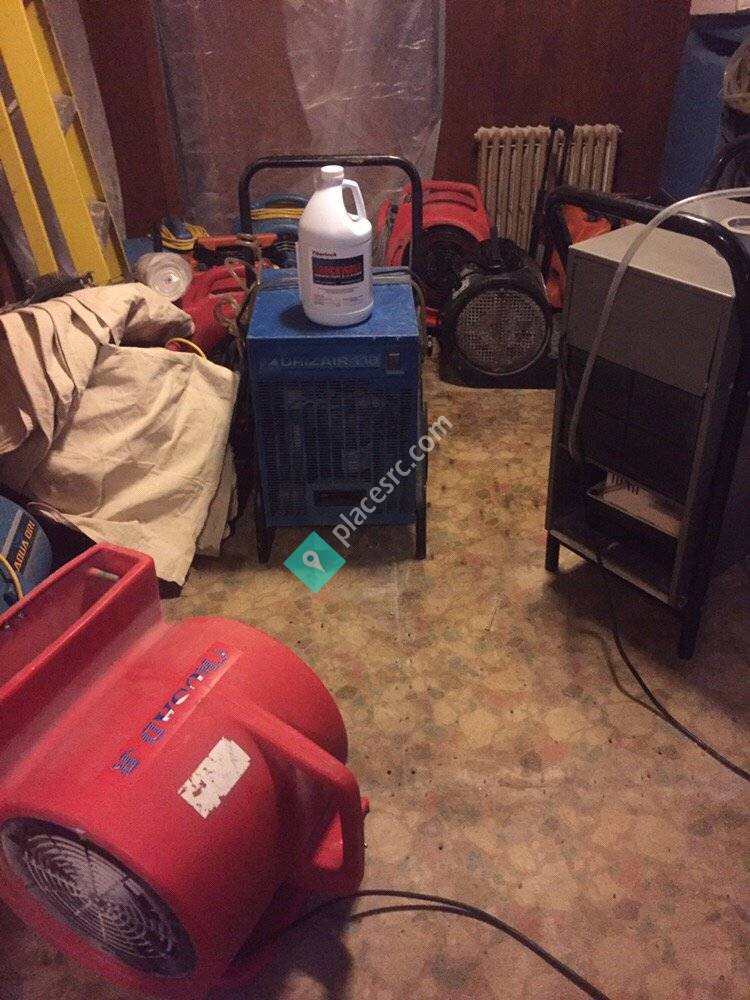 Mold Removal Boston - Chestnut Hill