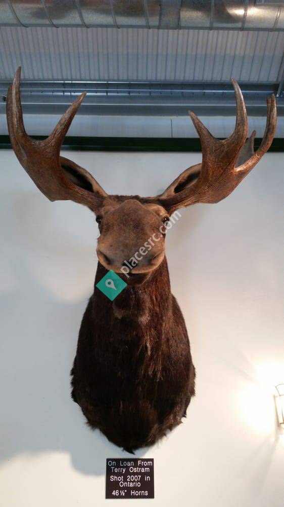 Moose Lodge No 1088 Loyal Order of Moose - Inver Grove