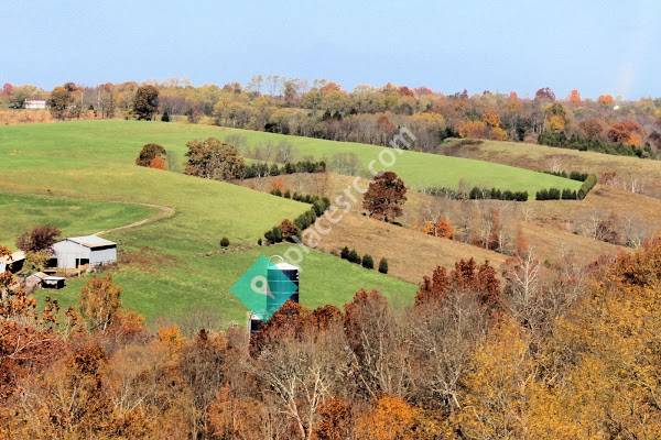 Northern Kentucky Auction Llc Independence