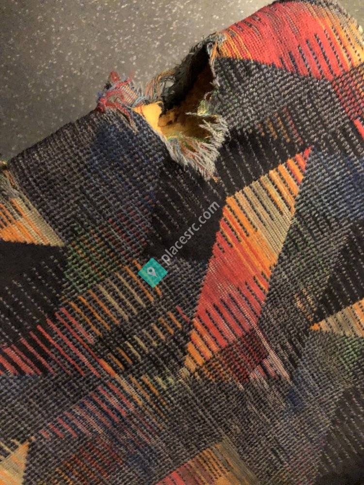 Panda Ny Bus - Newyork City