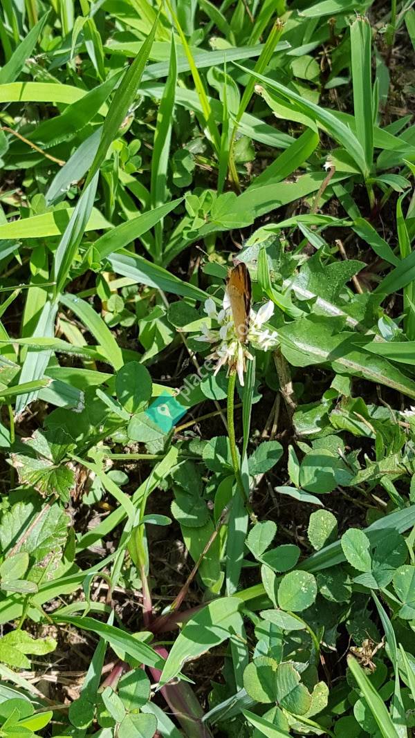 Precision Fabricators - Point Pleasant