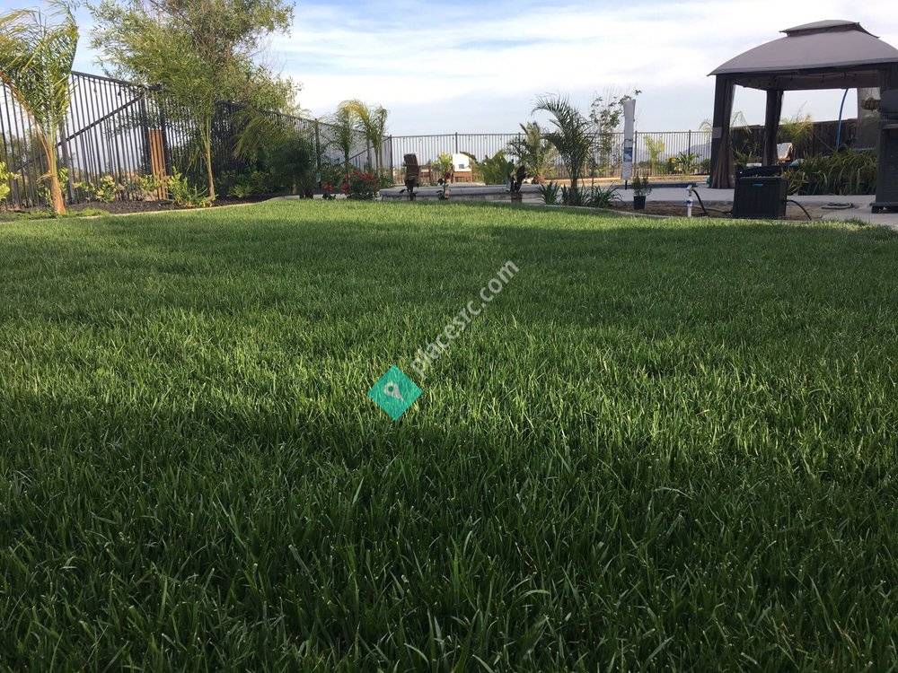 Quality Turf Sod Farm - San Jacinto