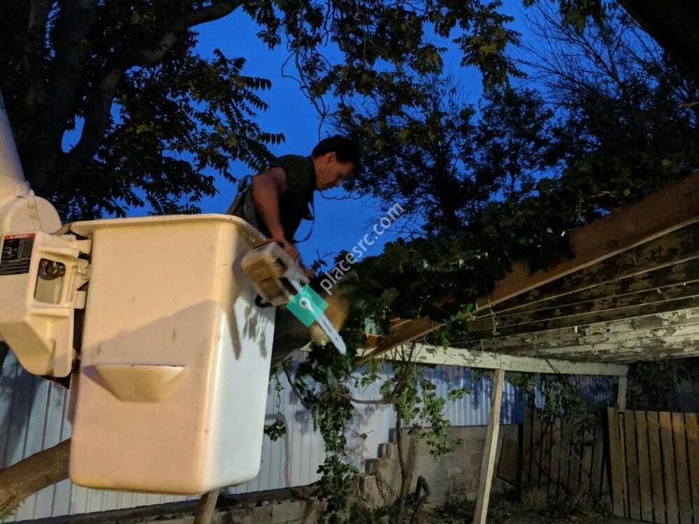 Terry's Tree Service - Los Lunas