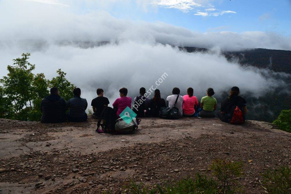 Vertically Inclined Wilderness Guides - East Bronx